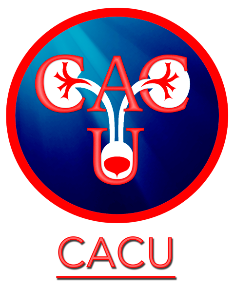 Международный Конгресс Урологов CACU 2020 — KAUA